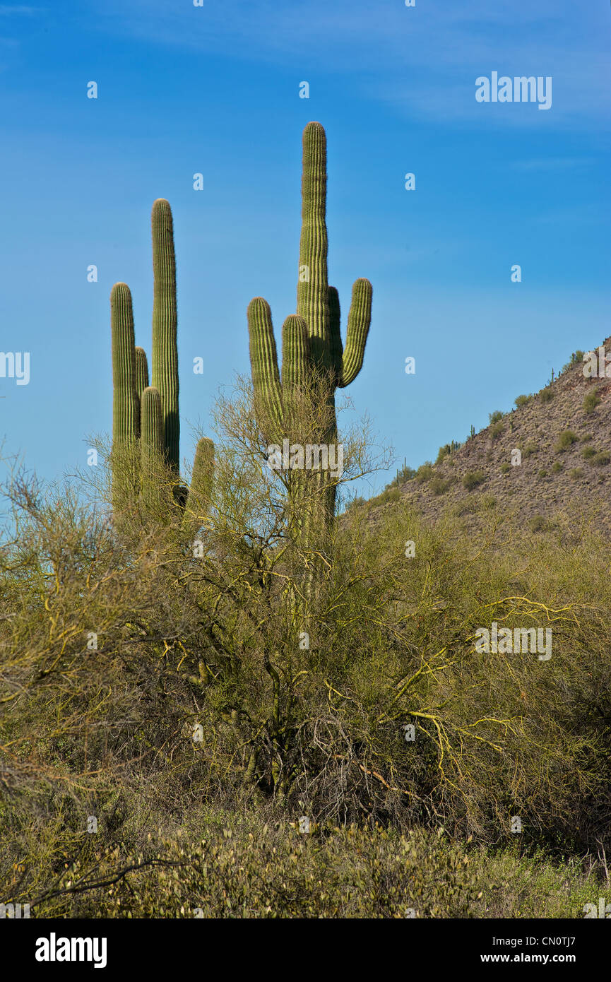 Blue Creek Cave High Resolution Stock Photography and Images - Alamy