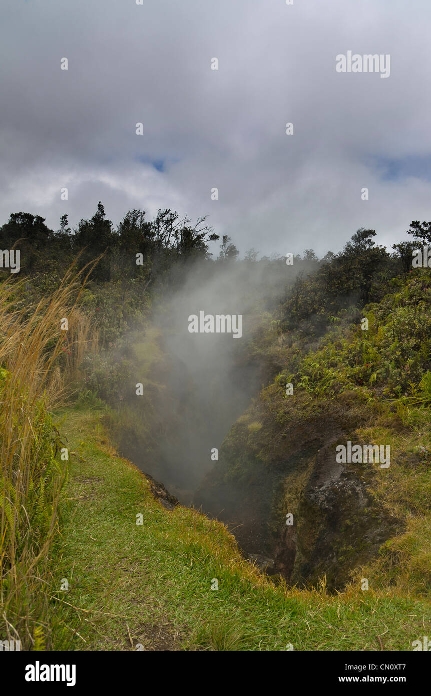 steam vents, Volcano National Park, Big Island, Hawaii Stock Photo - Alamy