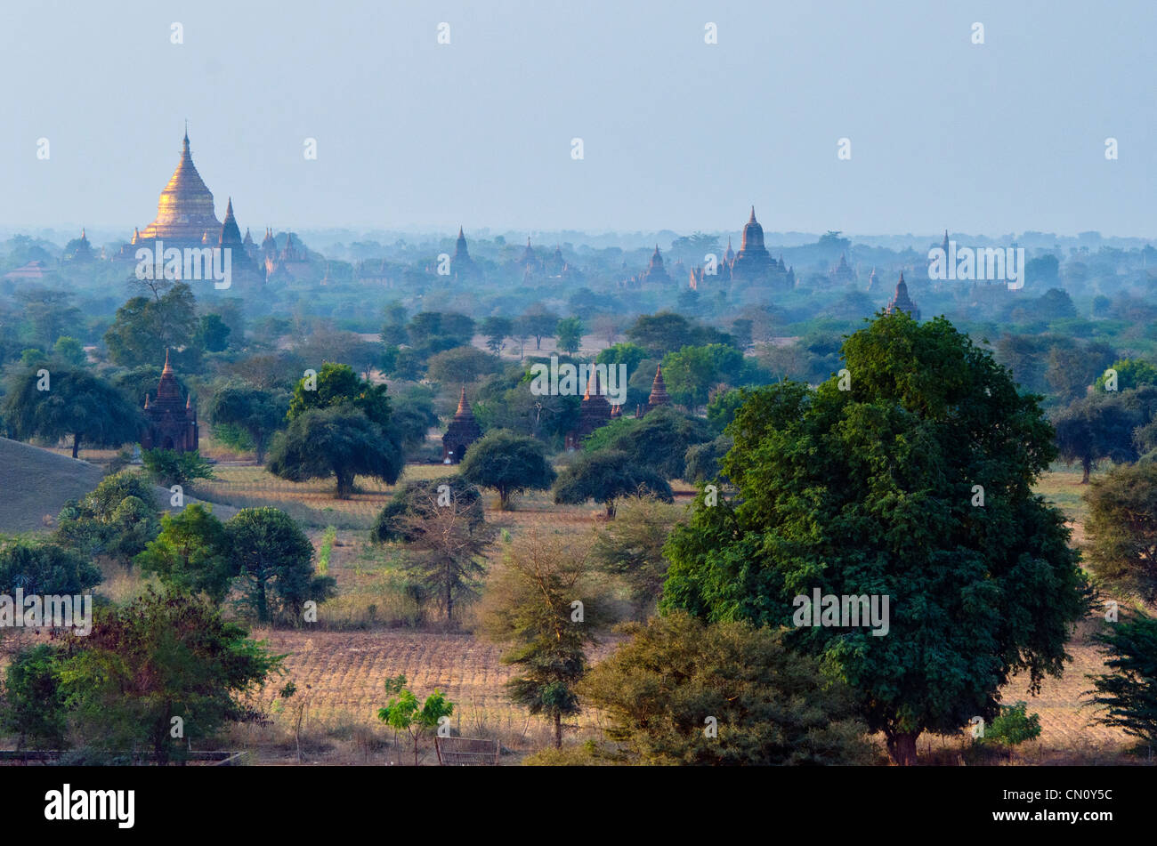Temples at dawn, Bagan, Myanmar Stock Photo - Alamy