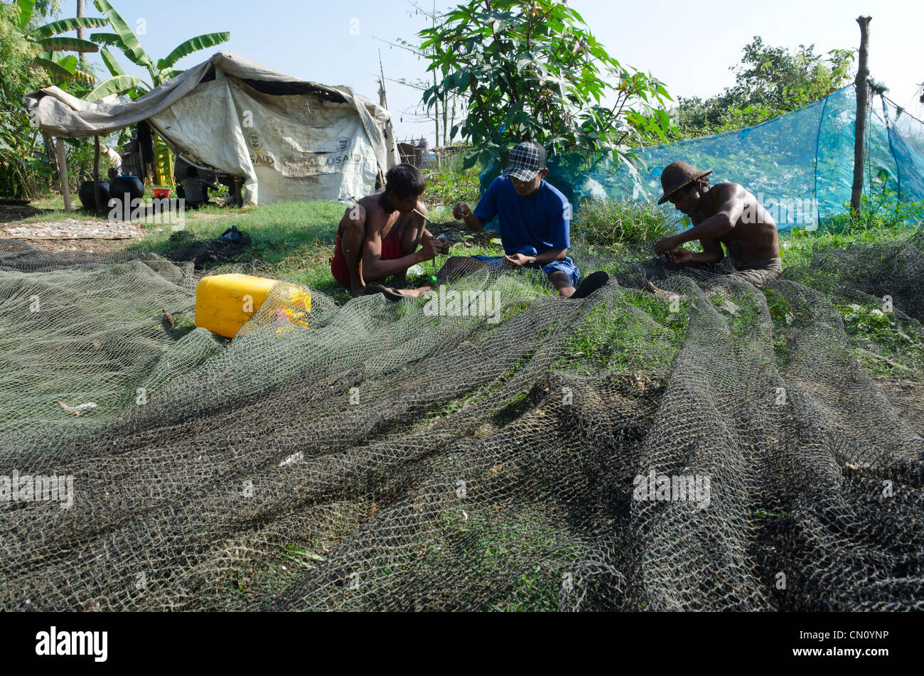Net fish hi-res stock photography and images - Alamy