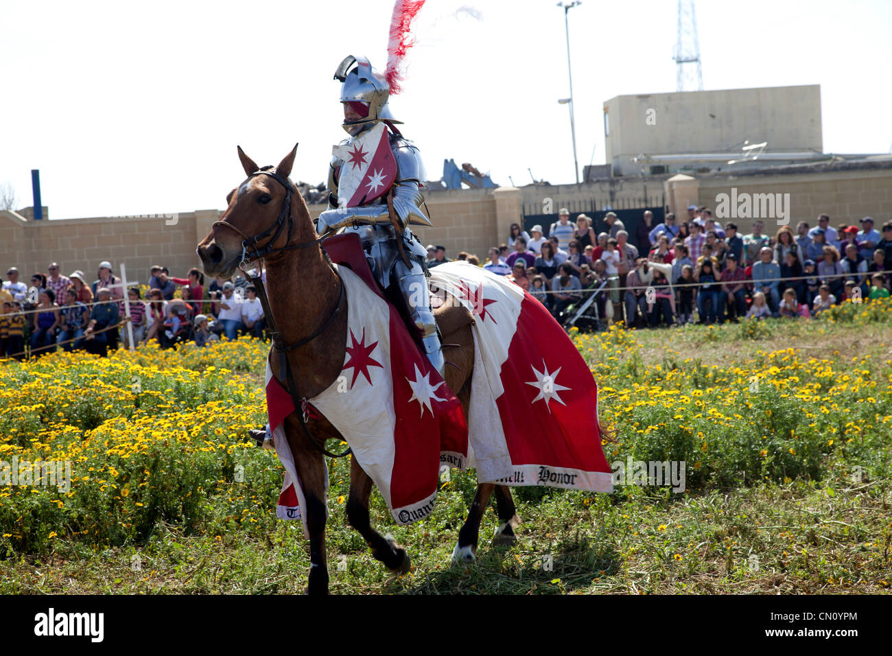 Knight Horse High Resolution Stock Photography and Images - Alamy