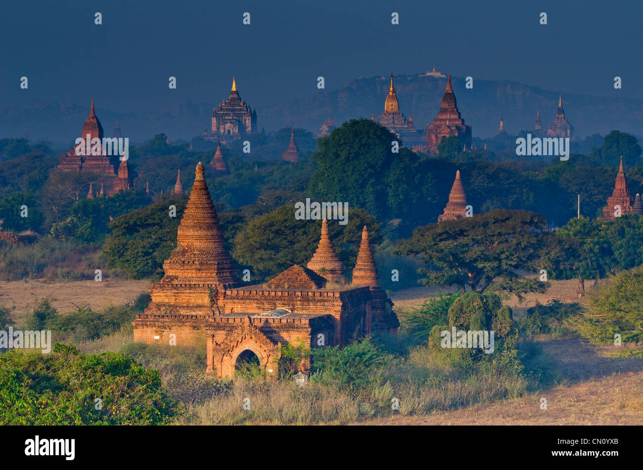 Temples in dawn light, Bagan, Myanmar Stock Photo - Alamy