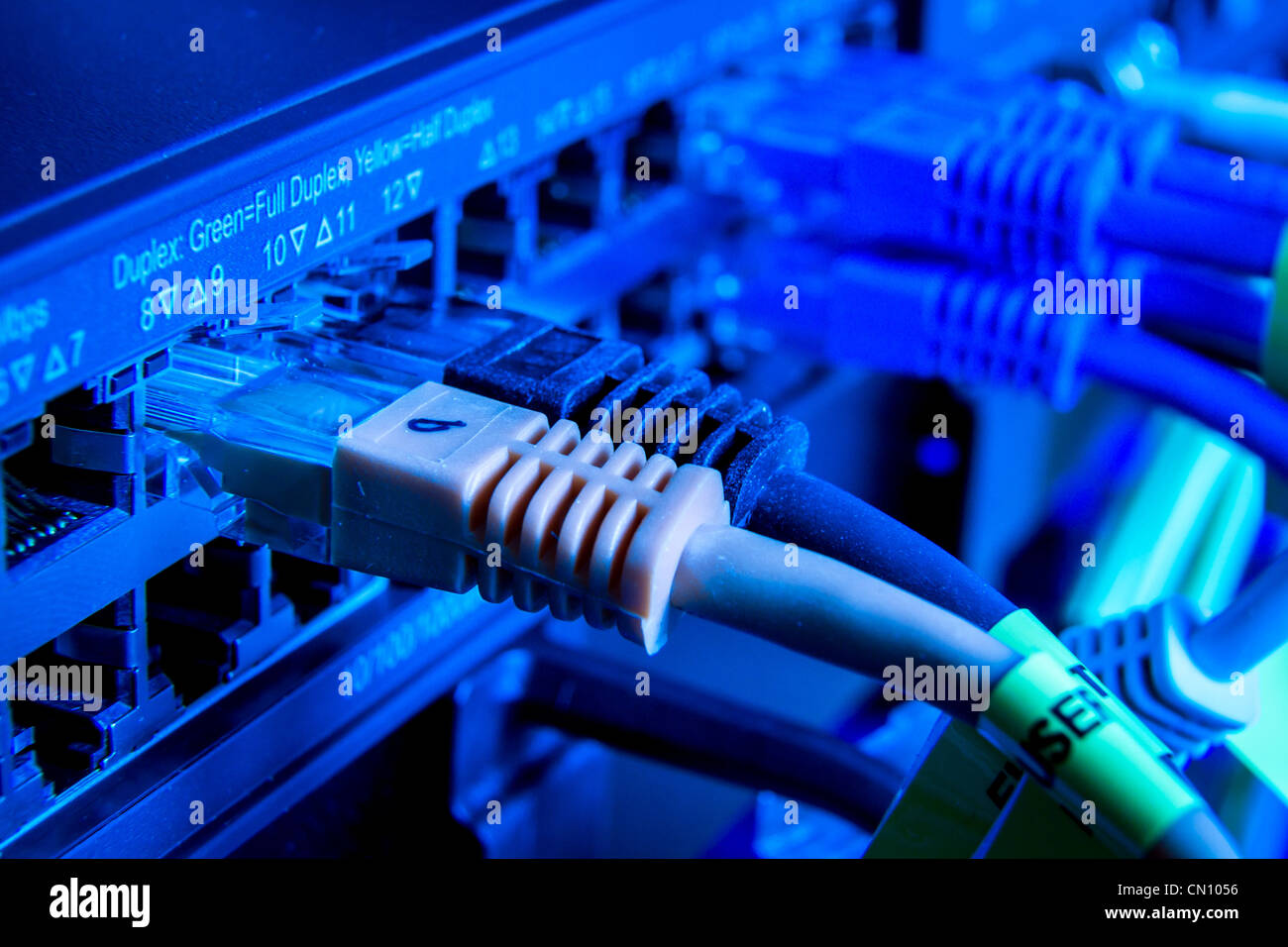 network cables connected to hub Stock Photo - Alamy