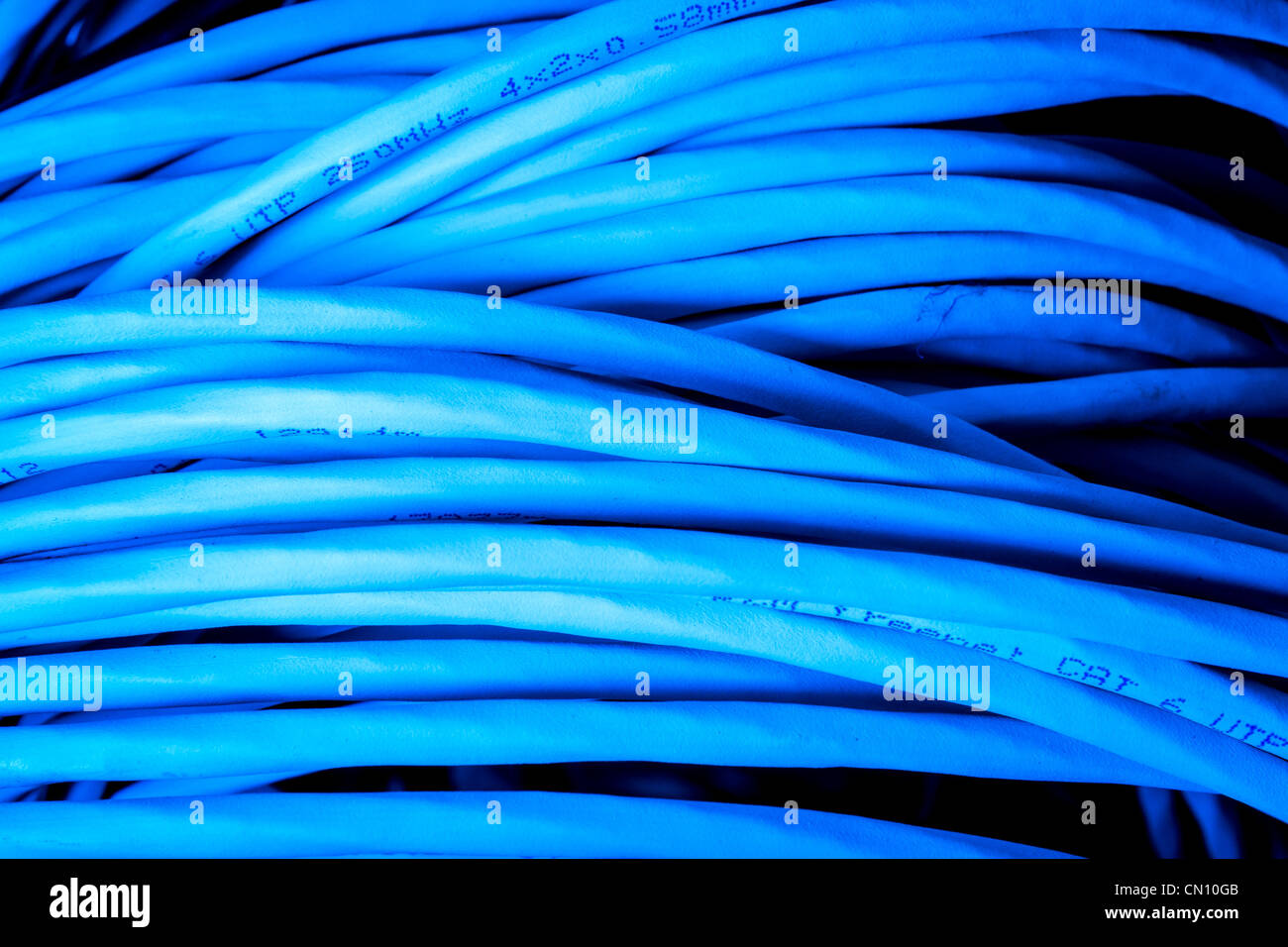 close up of network cables Stock Photo - Alamy