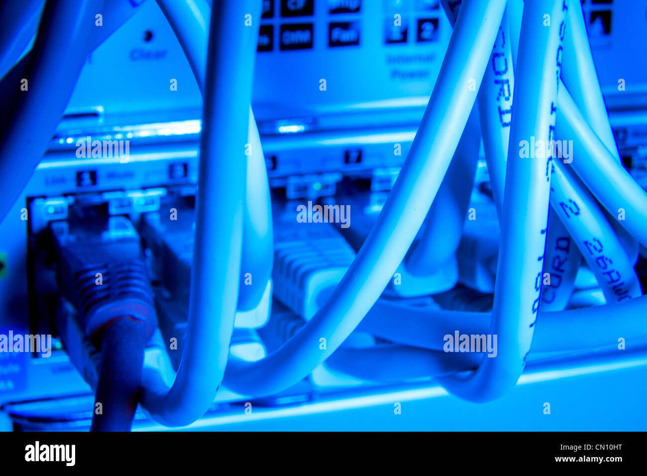 close up of network cables connected to switch Stock Photo - Alamy