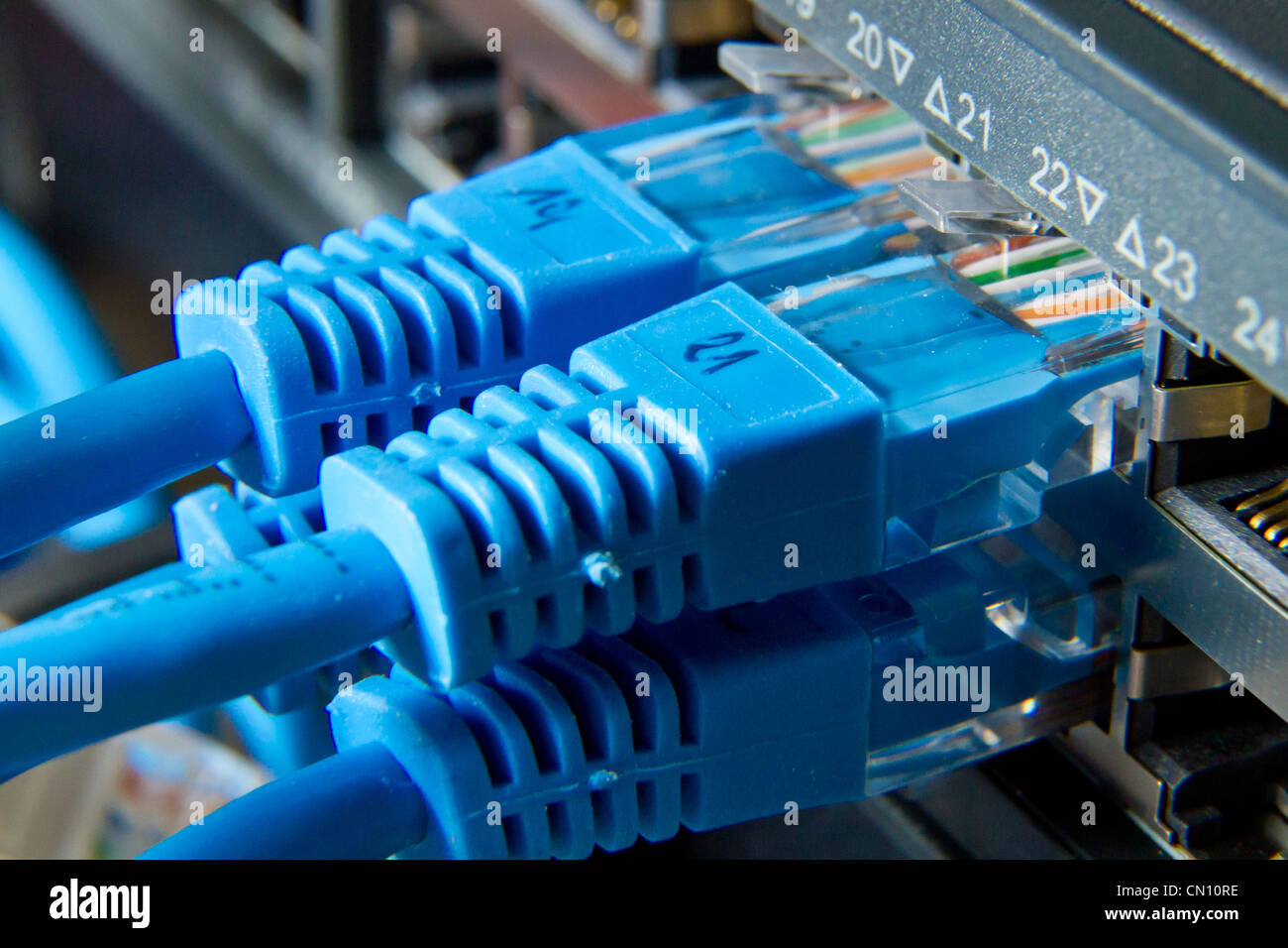 network cables connected to hub Stock Photo - Alamy