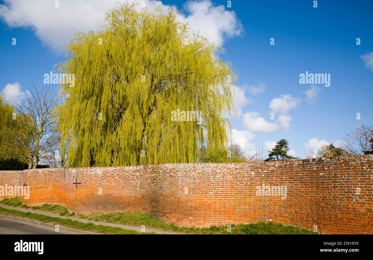 Crinkle crankle or serpentine wall, Easton, Suffolk, England Stock ...