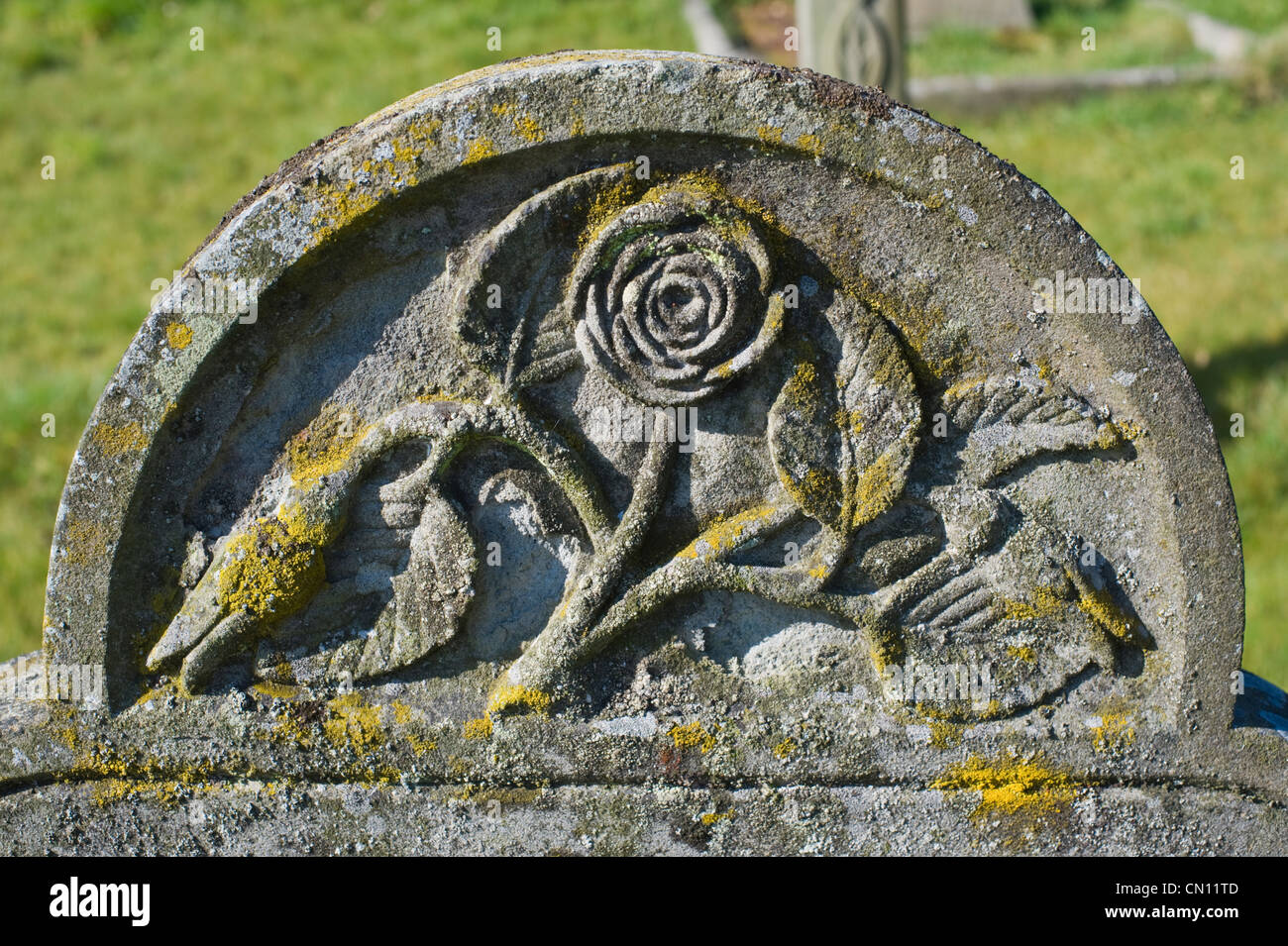 Gravestone with flower carving in graveyard of Clyro Church Powys Wales ...