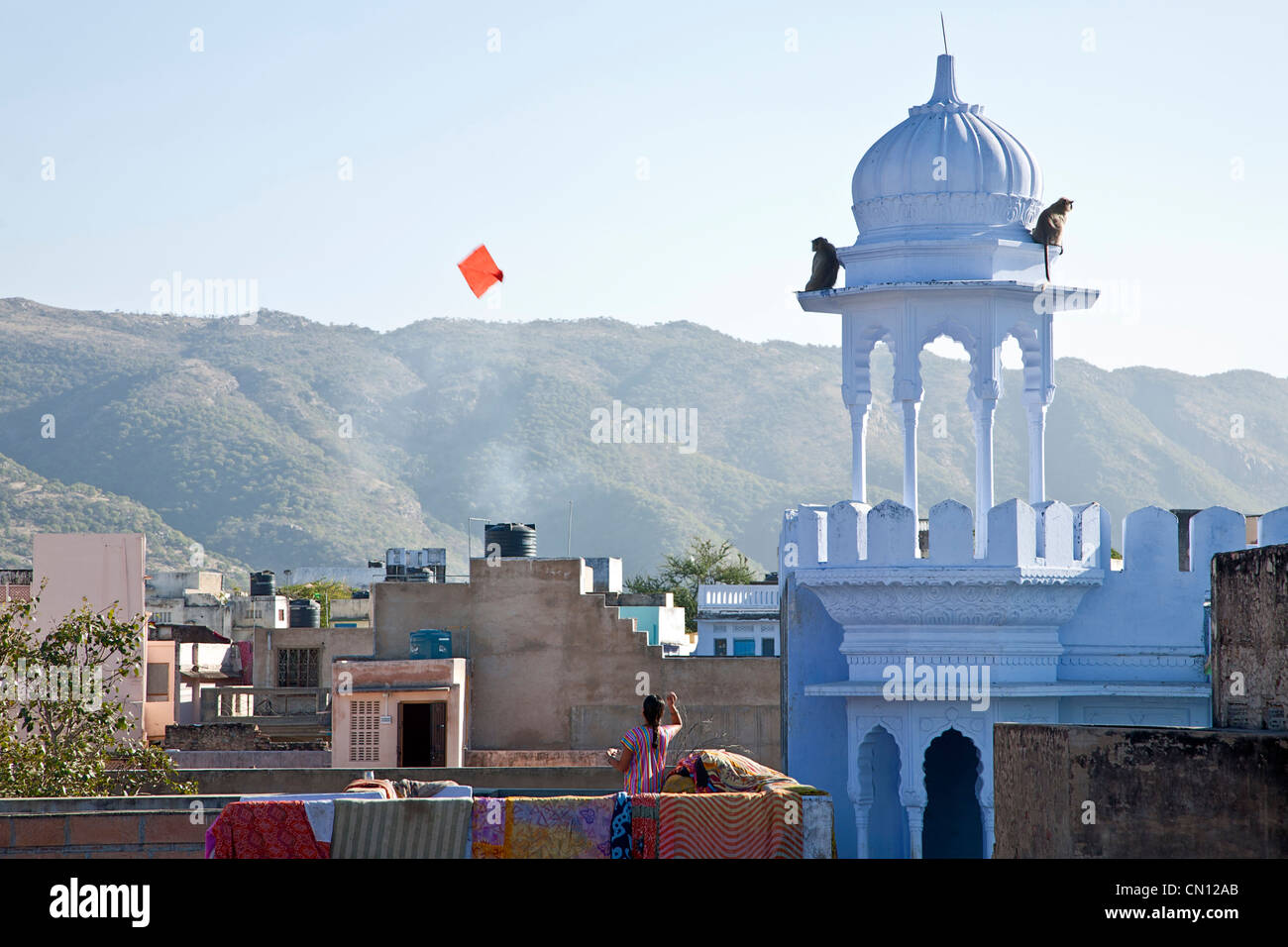 Flying monkeys hi-res stock photography and images - Alamy