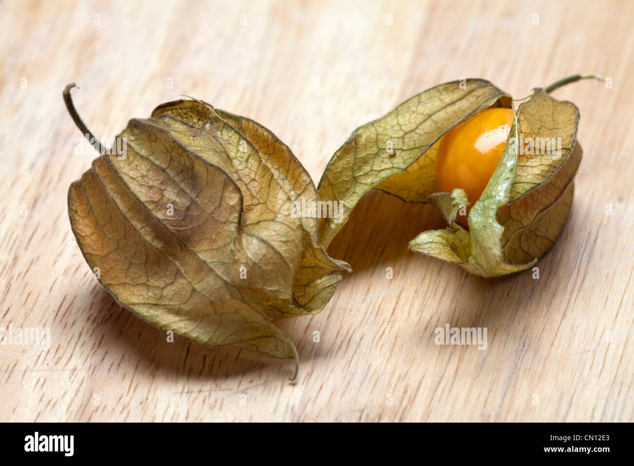 Physalis peruviana, Cape Gooseberry Stock Photo - Alamy