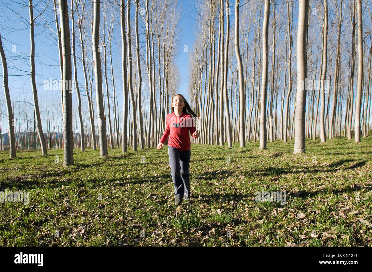 Young girl running among tall trees Stock Photo - Alamy