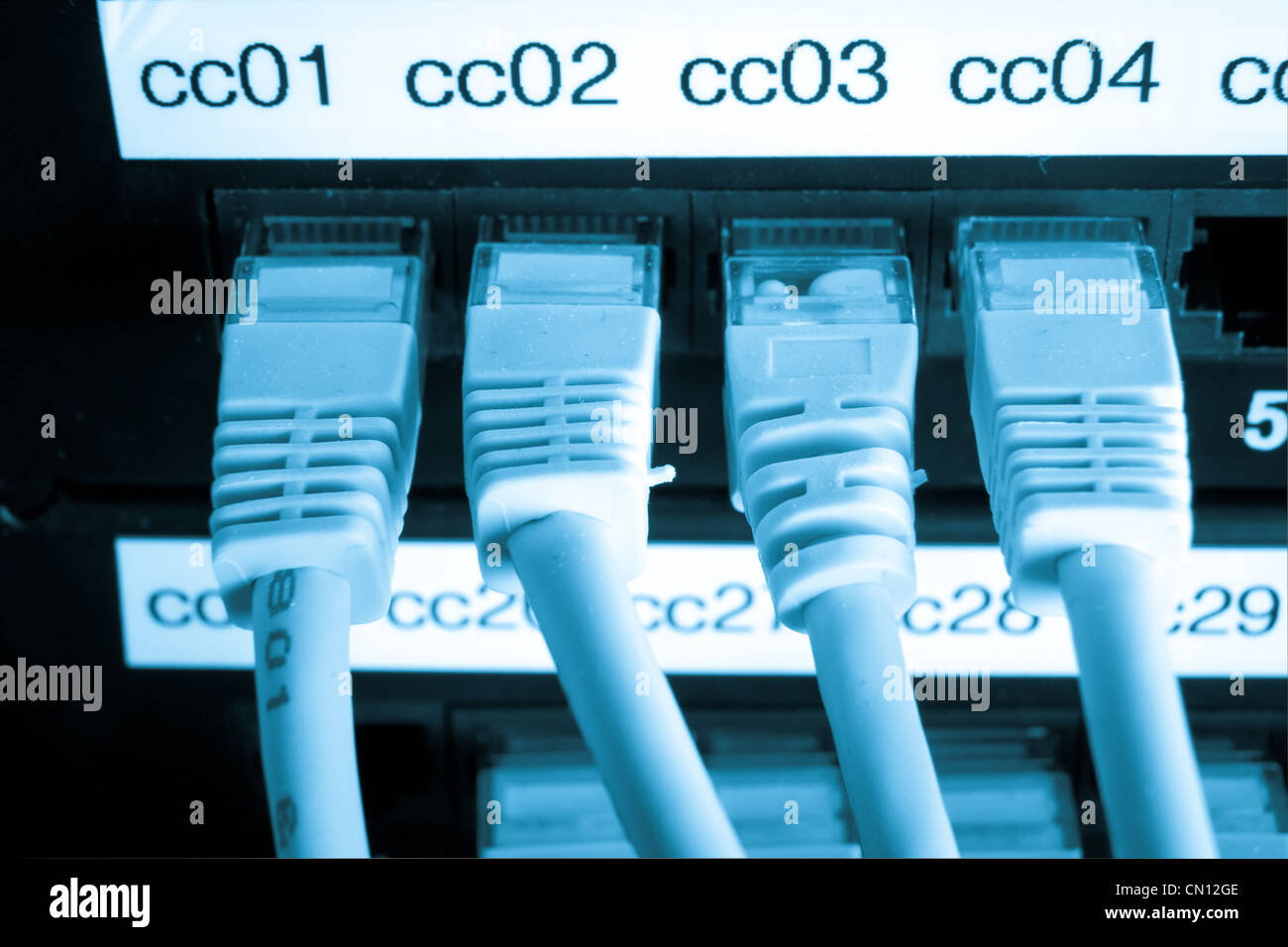 close up of network cables connected to switch Stock Photo - Alamy