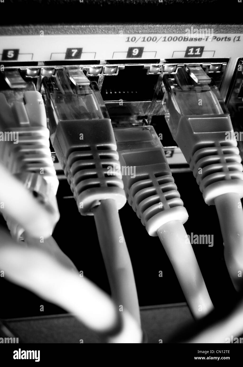 network cables connected to hub Stock Photo - Alamy