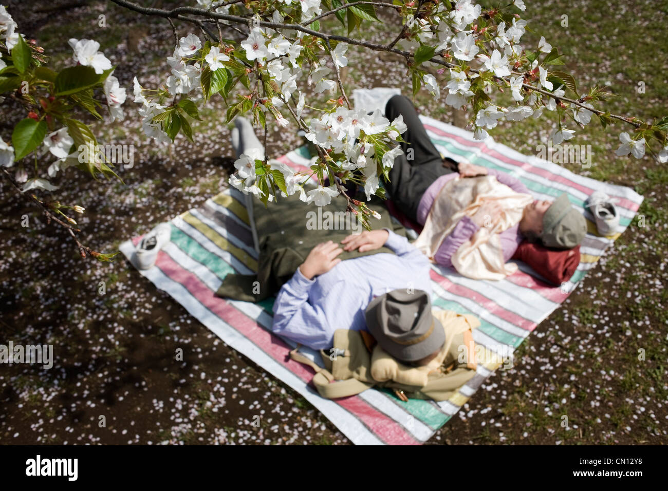 Couple taking a nap under a cherry tree Stock Photo - Alamy