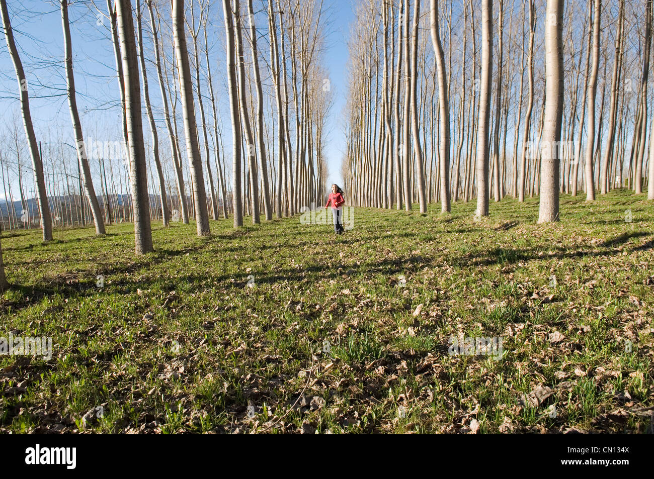 Young girl running among tall trees Stock Photo - Alamy