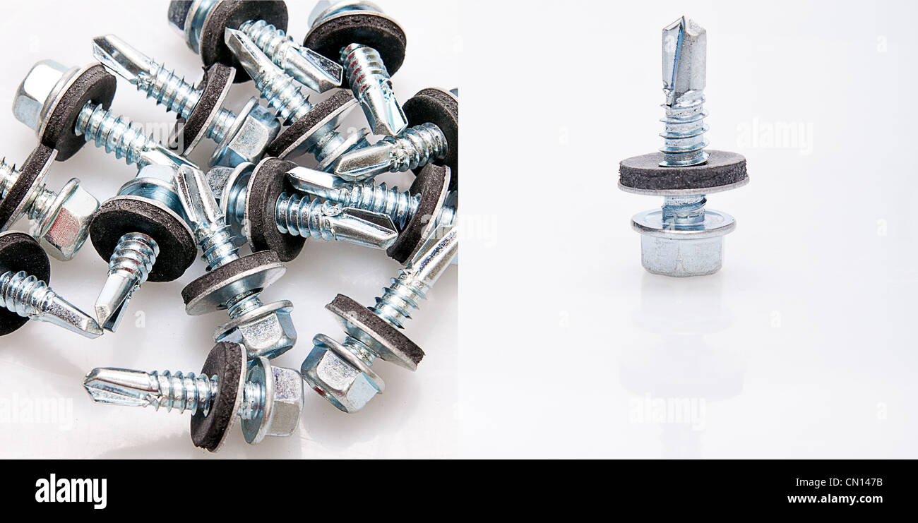 screw and a lot of screws in one picture Stock Photo - Alamy
