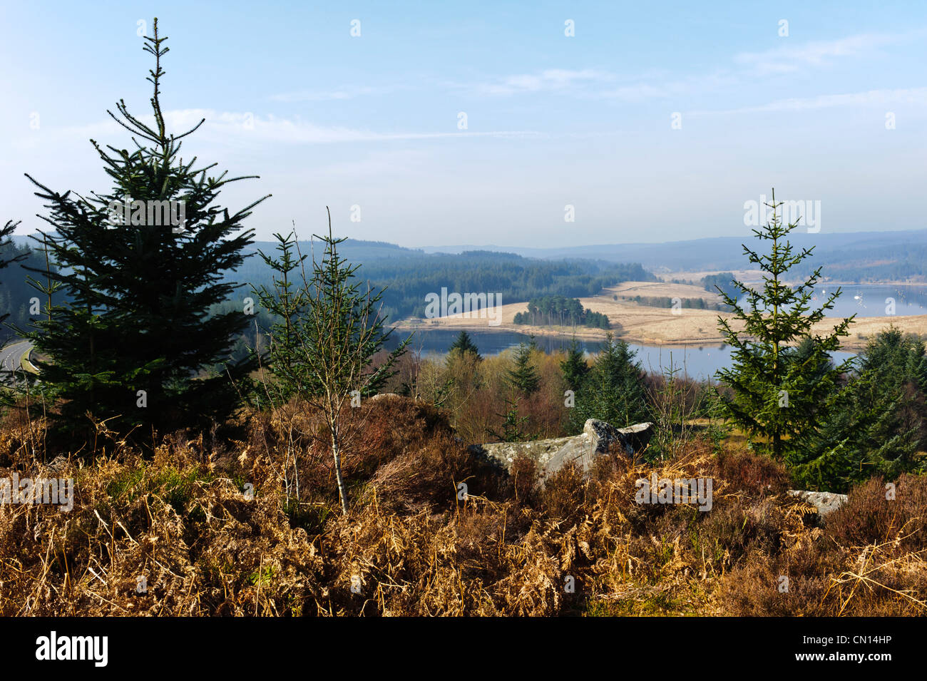 Kielder forest hi-res stock photography and images - Alamy