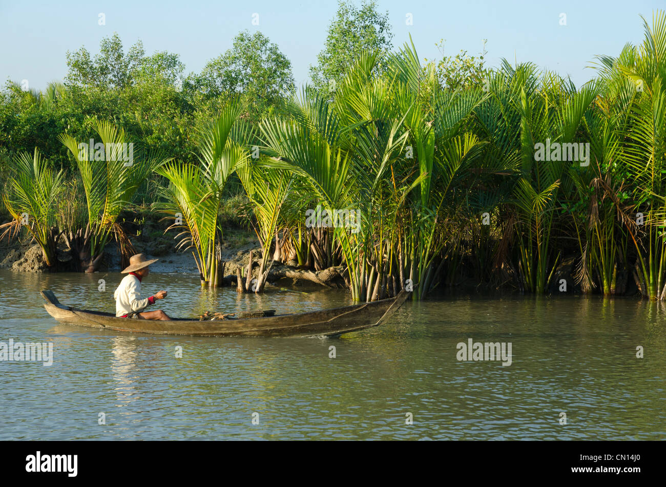 Mangrove delta hi-res stock photography and images - Alamy