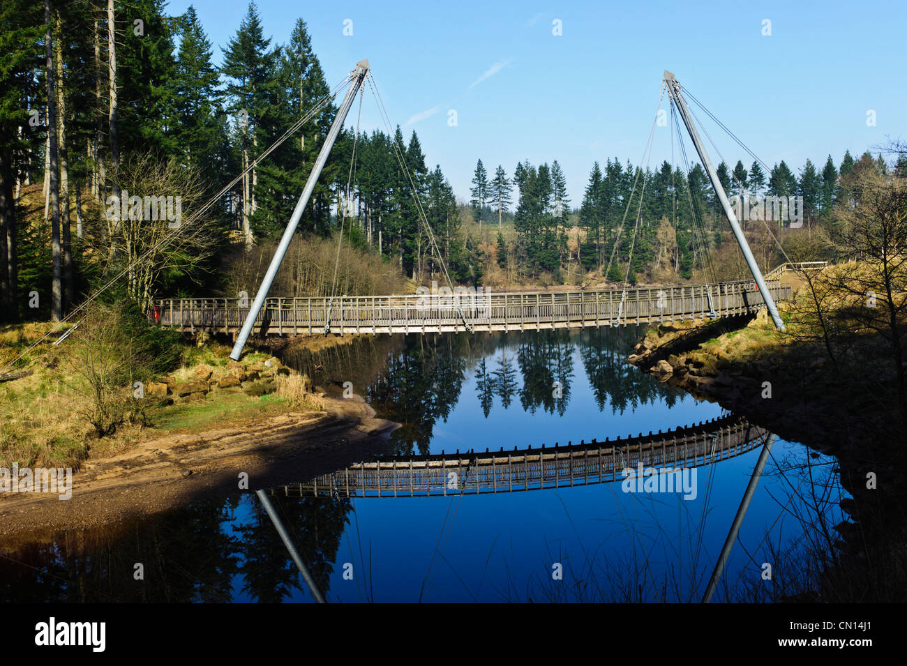 Kielder Forest Stock Photo - Alamy