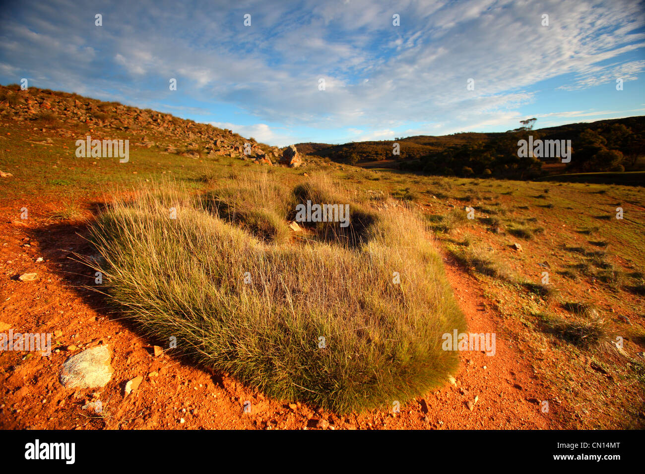 Australian outback. Red dry landscape. Australia Stock Photo - Alamy
