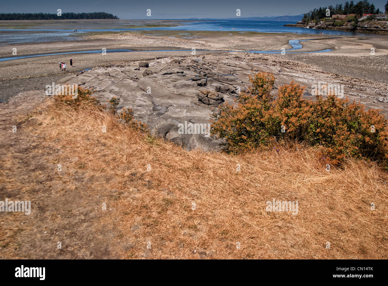 Parksville Beach, Vancouver Island, B.C., Canada Stock Photo - Alamy