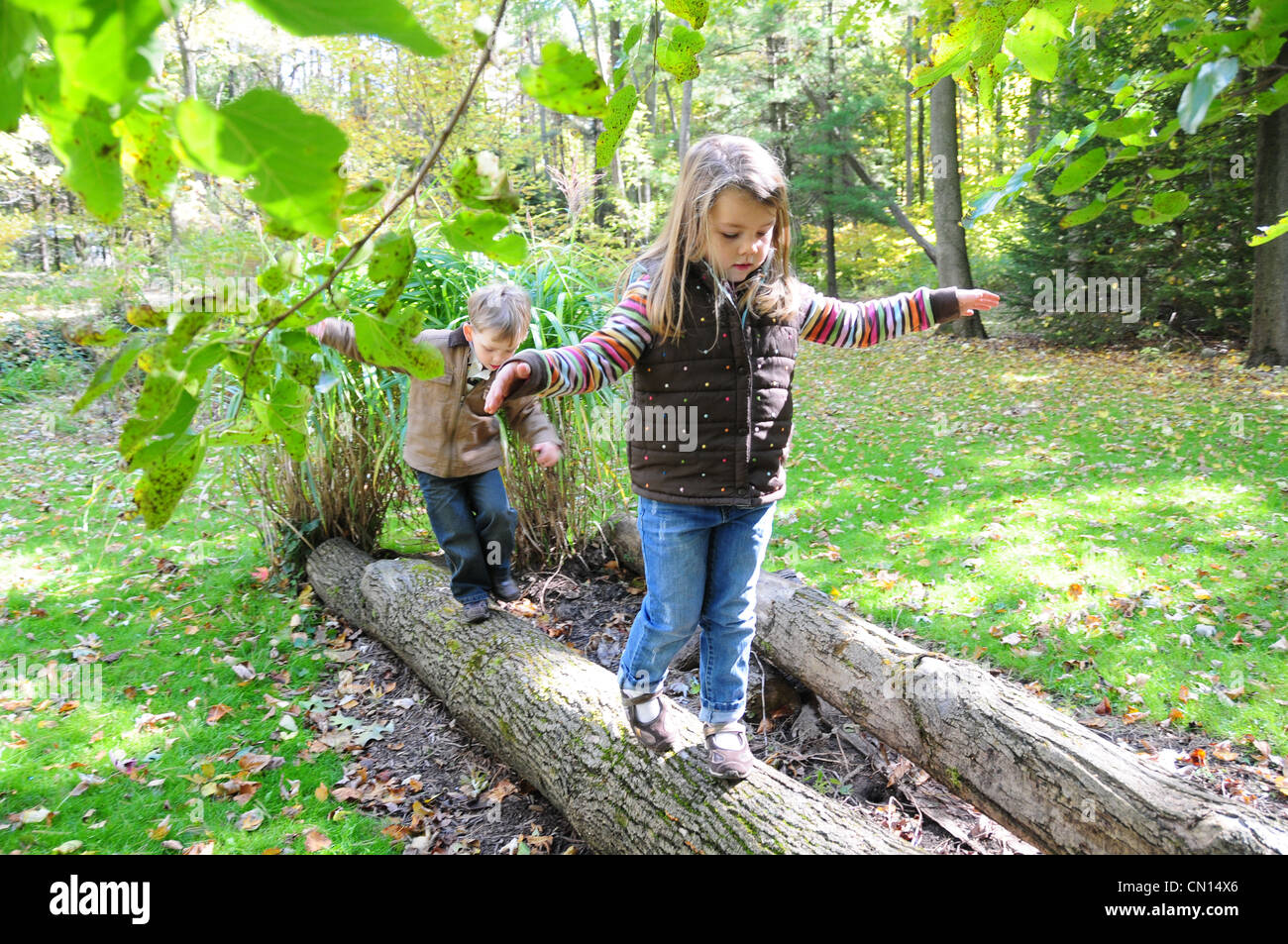 Little girl and boy balancing on fallen log, Simcoe, Ontario Stock ...