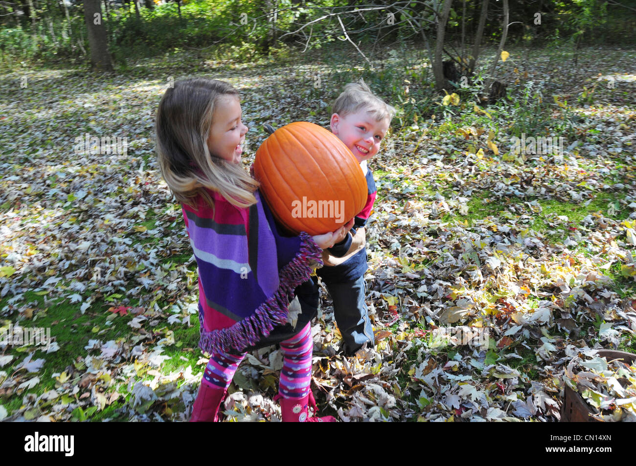 Child carry pumpkin hi-res stock photography and images - Alamy