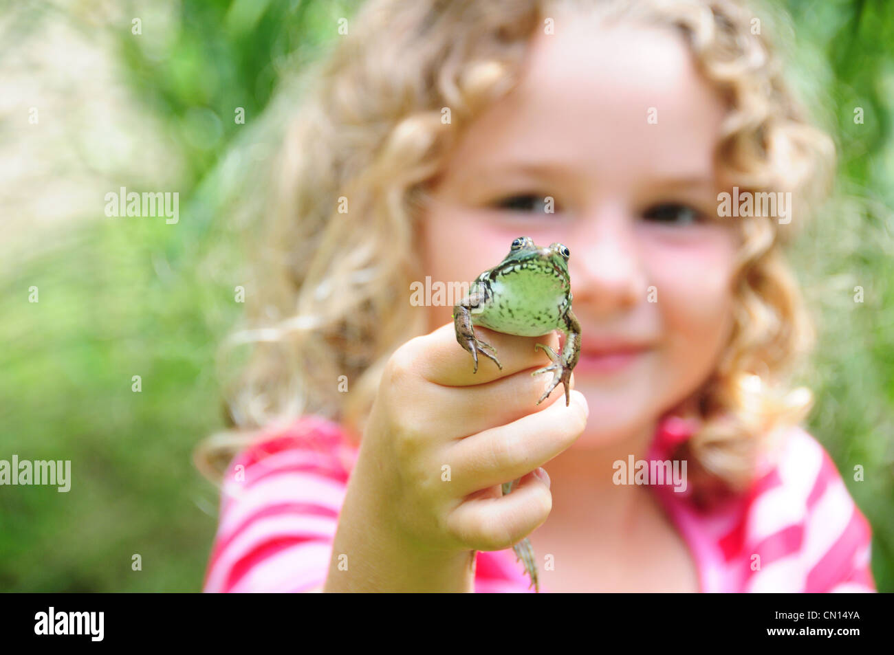 Canadian frog hi-res stock photography and images - Alamy