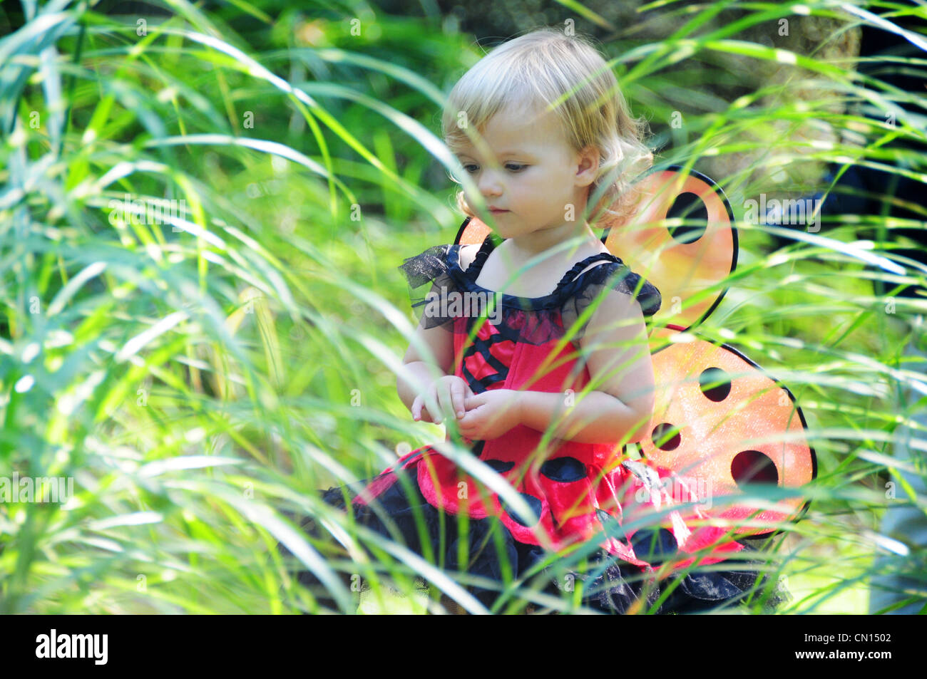 Little girl dressed in ladybug costume surrounded by long grass, Simcoe ...