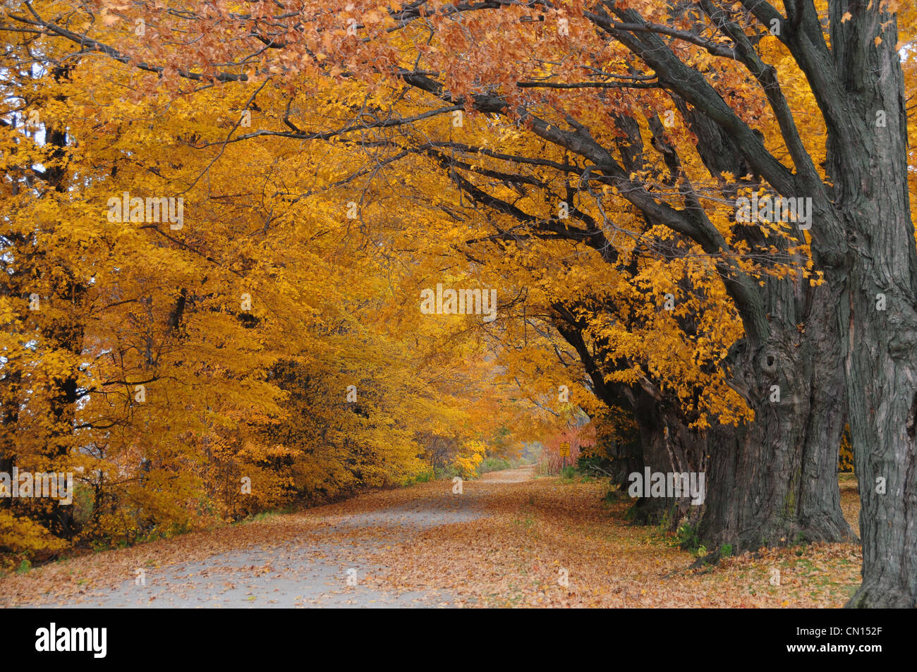 Simcoe ontario hi-res stock photography and images - Alamy