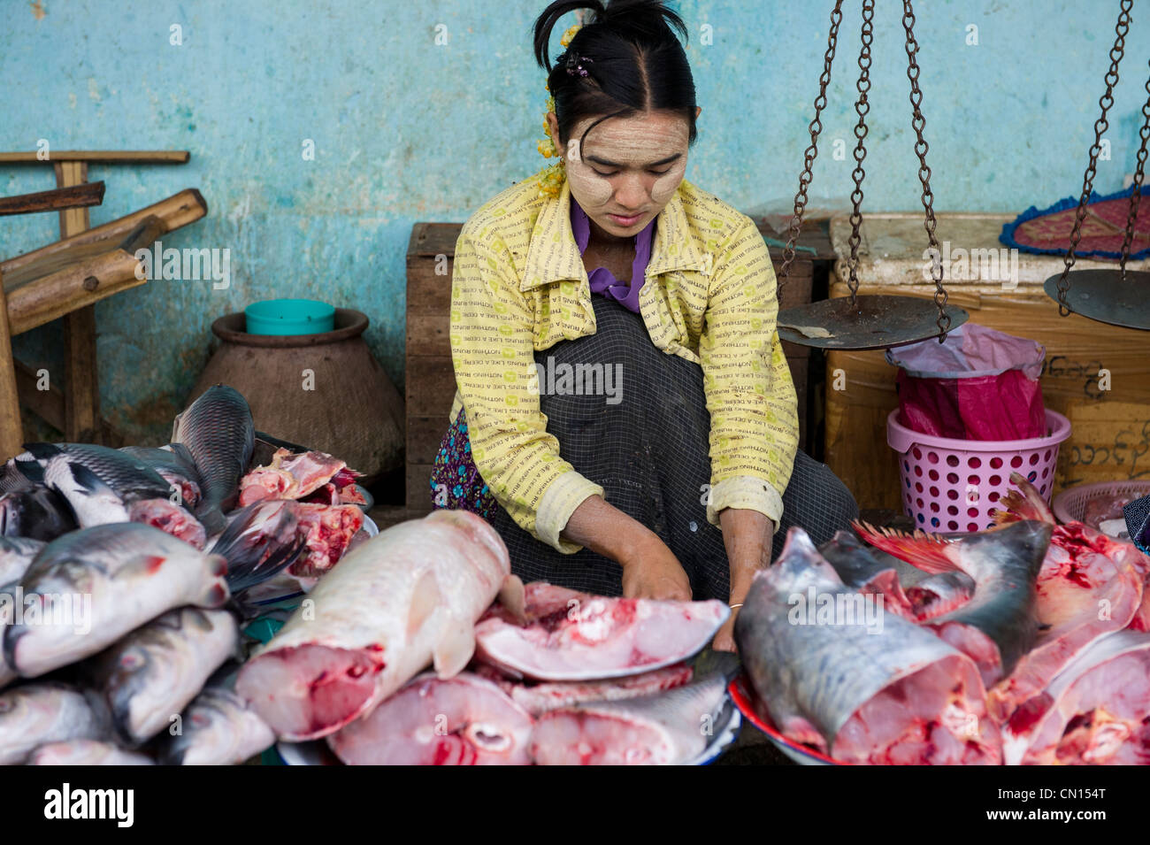 Fish Market in Bagan Myanmar. Vendor selling fish Stock Photo - Alamy