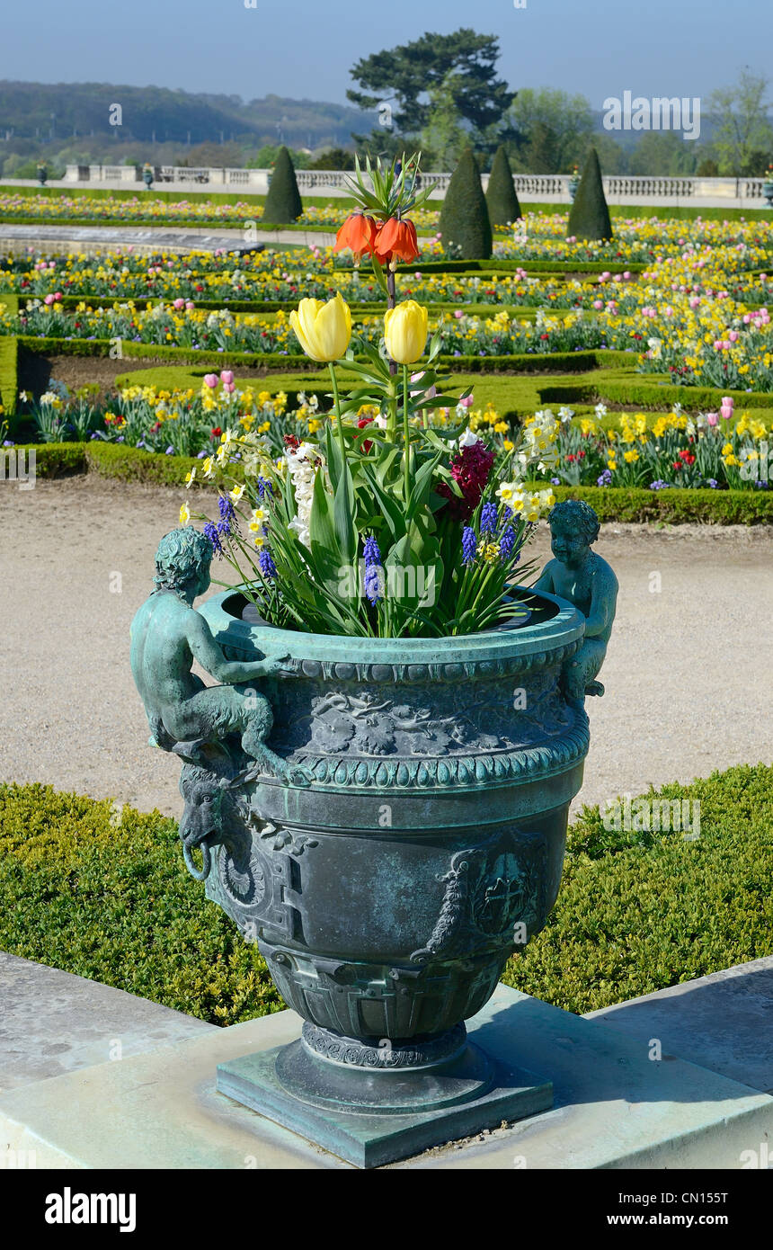 Versailles Flowers