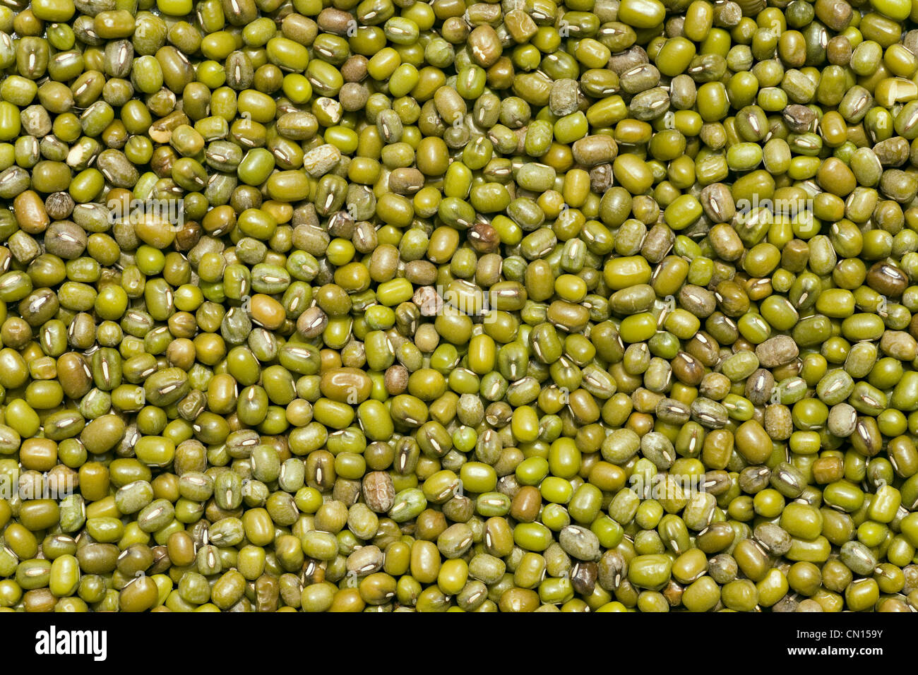background of green mash grains in India Stock Photo - Alamy