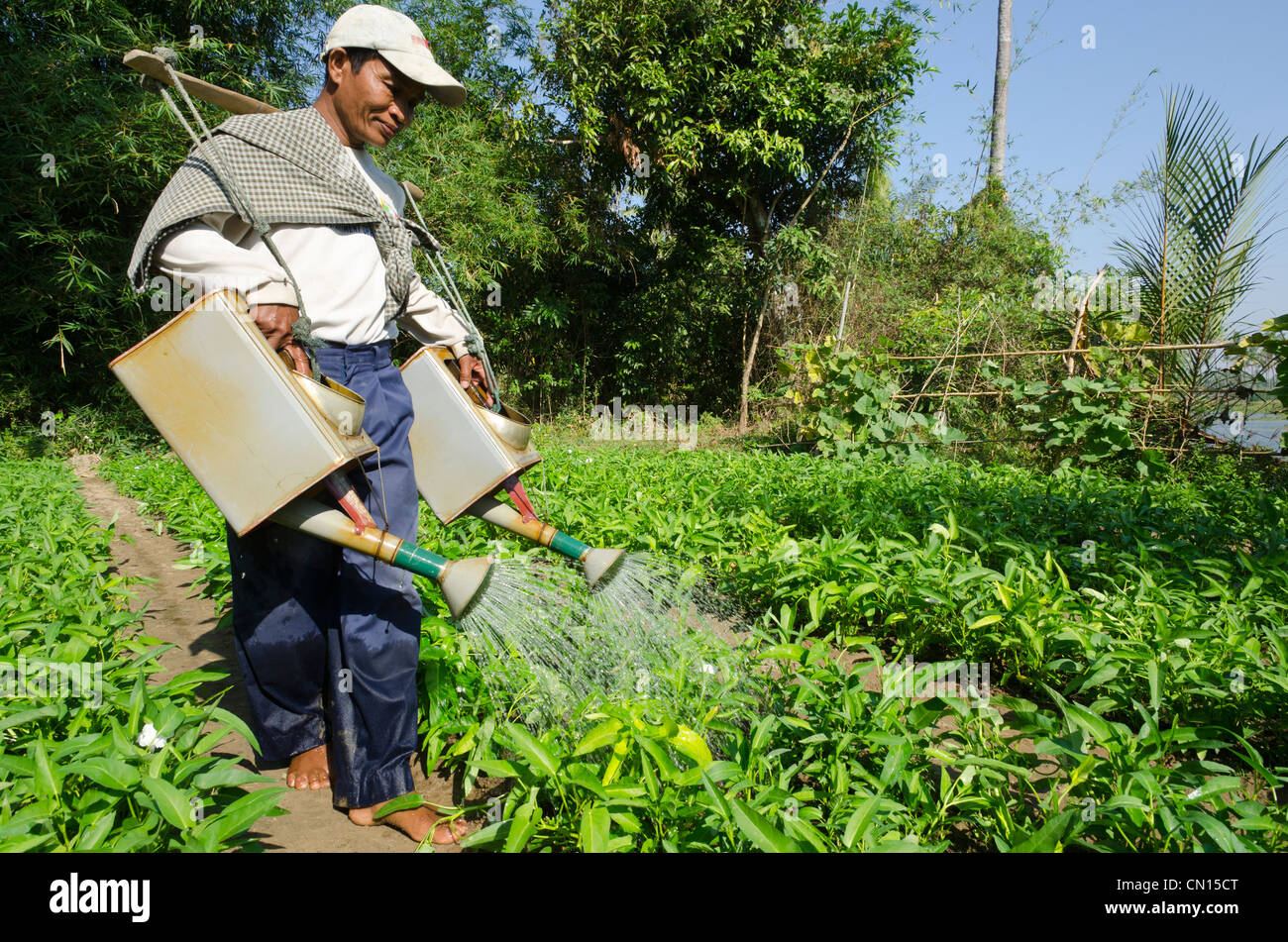 Farmer watering his vegetable garden. Ye Saing Kone village near ...