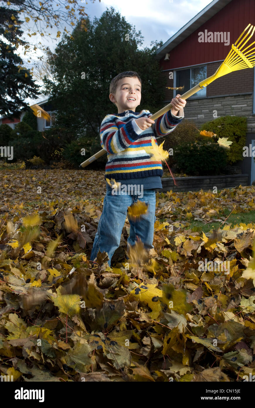 Young Boy playing with rake and leaves in front yard, Laval, Quebec ...