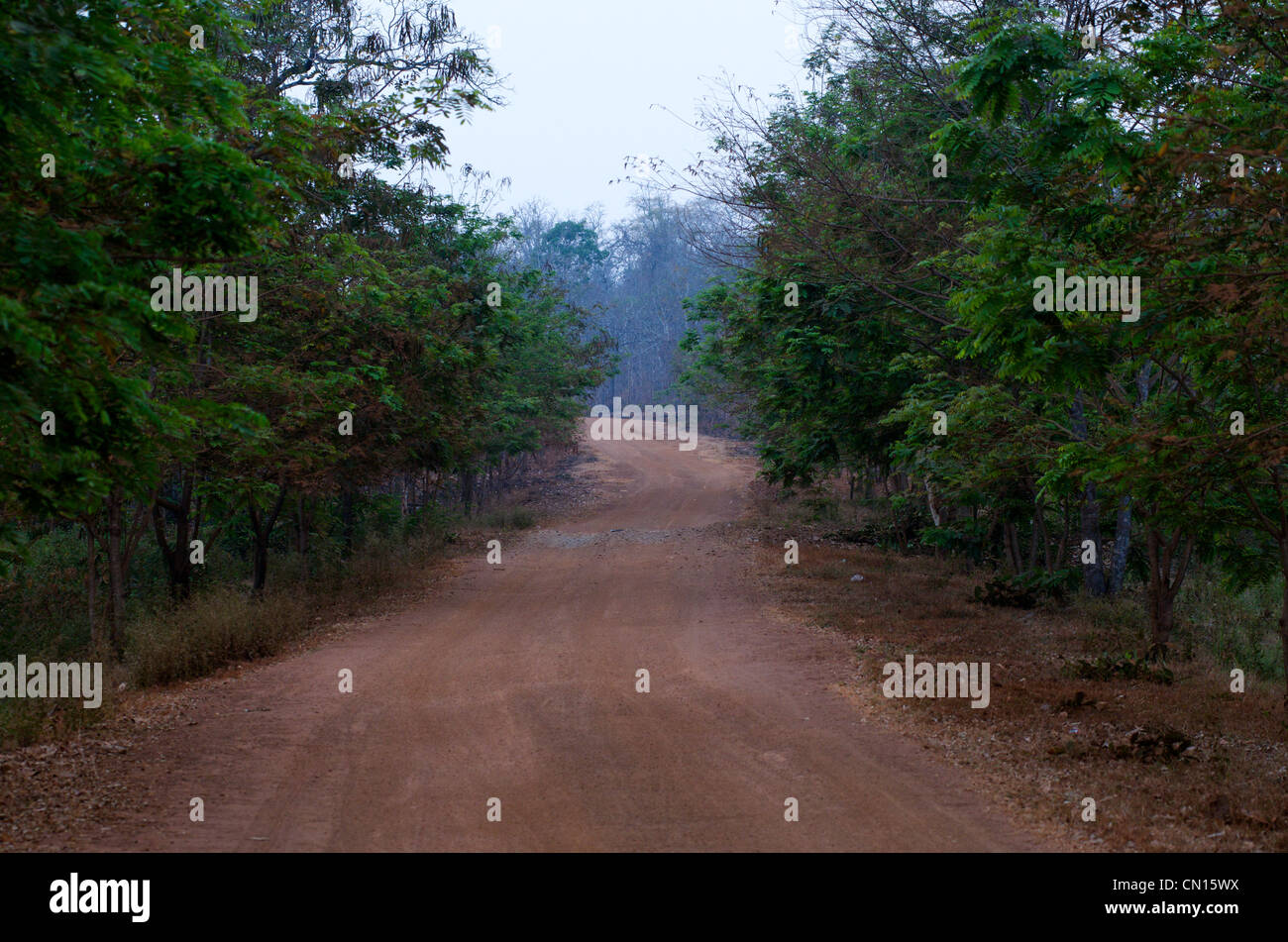 the road through Koh Ker, Preah Vihear Province, Cambodia Stock Photo ...