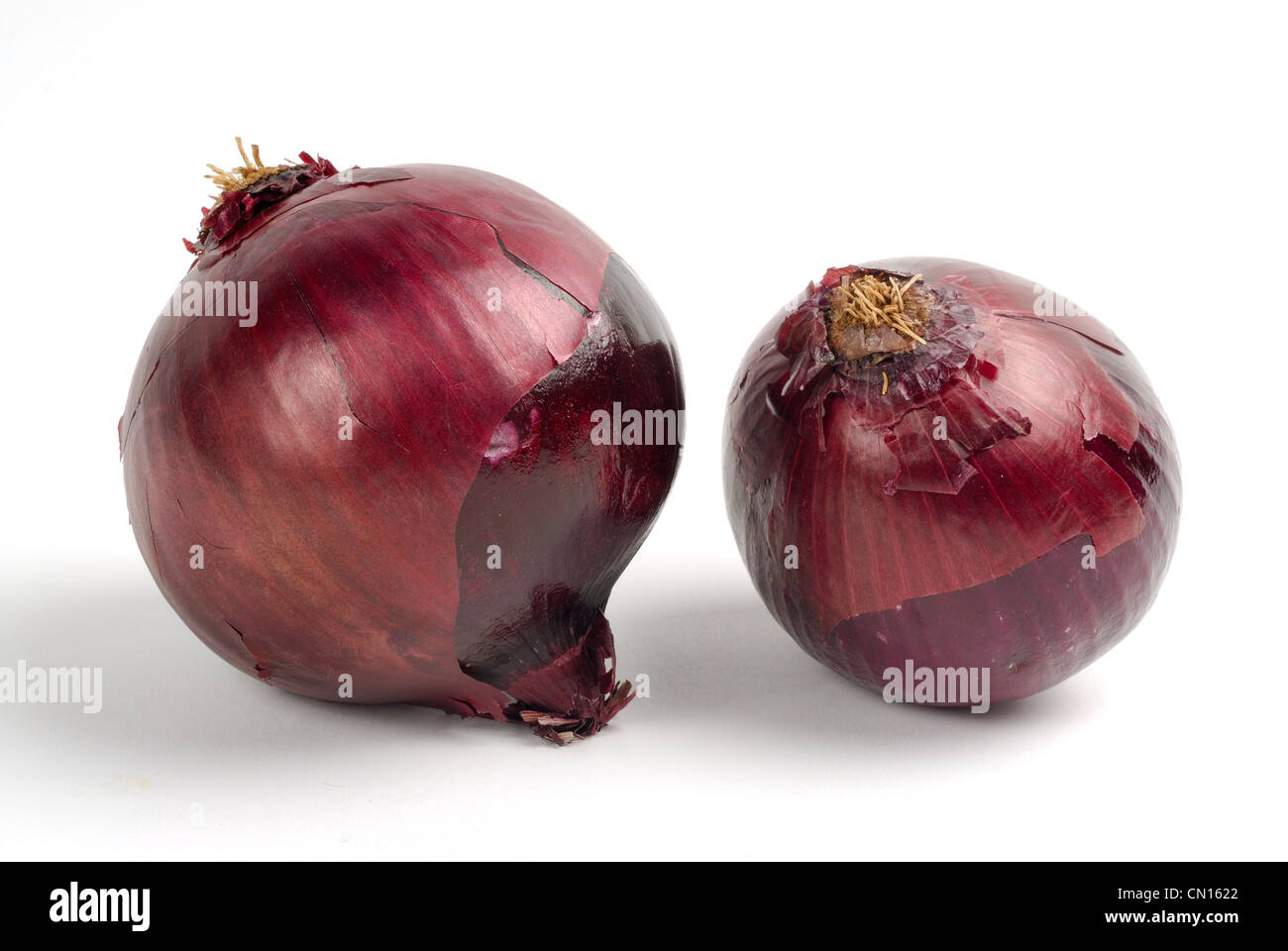 Two onions on white background Stock Photo - Alamy