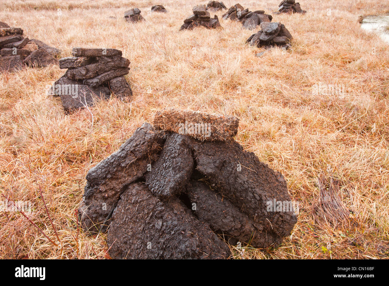 Cutting carbon hi-res stock photography and images - Alamy