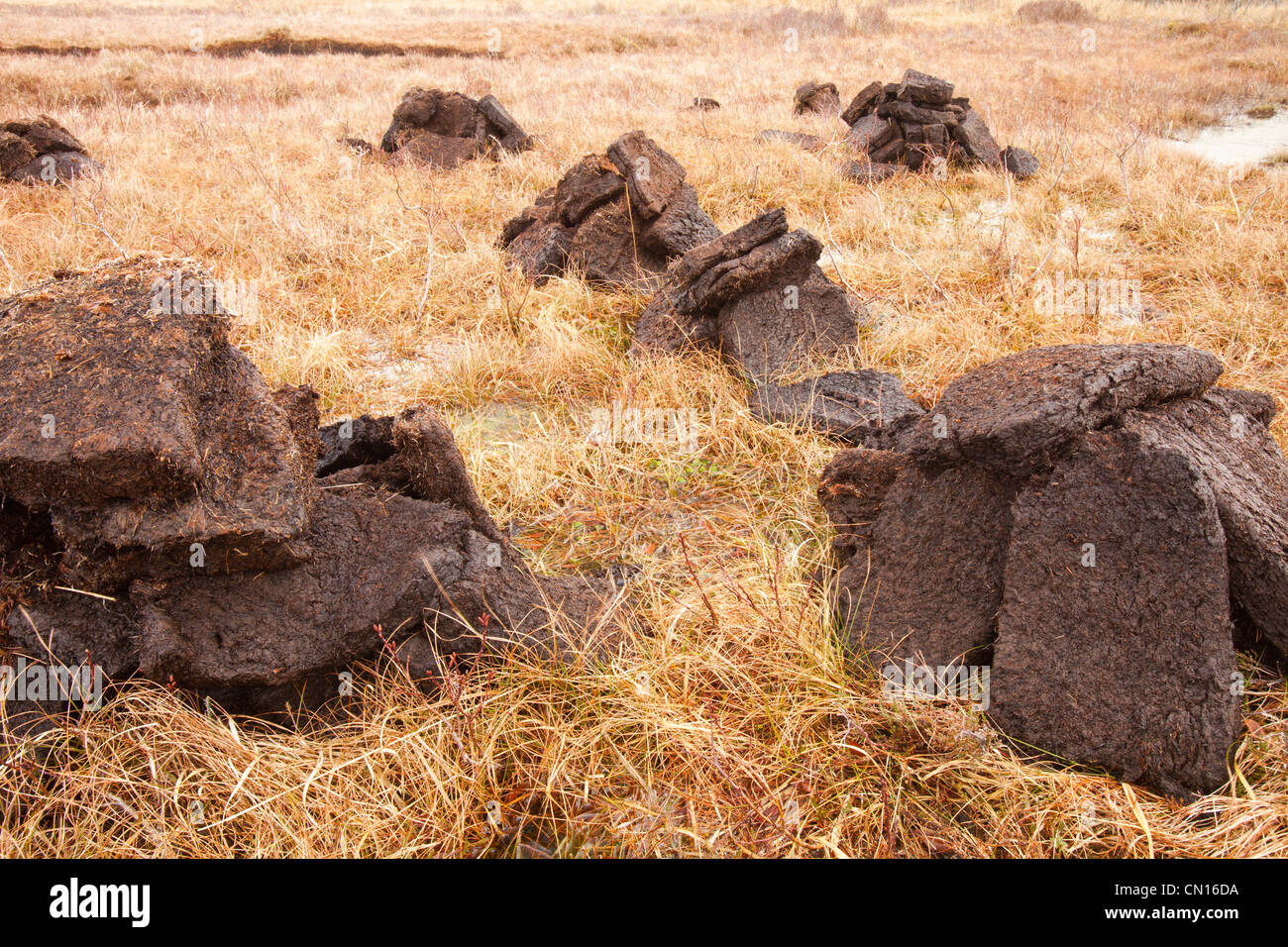 Cutting carbon hi-res stock photography and images - Alamy