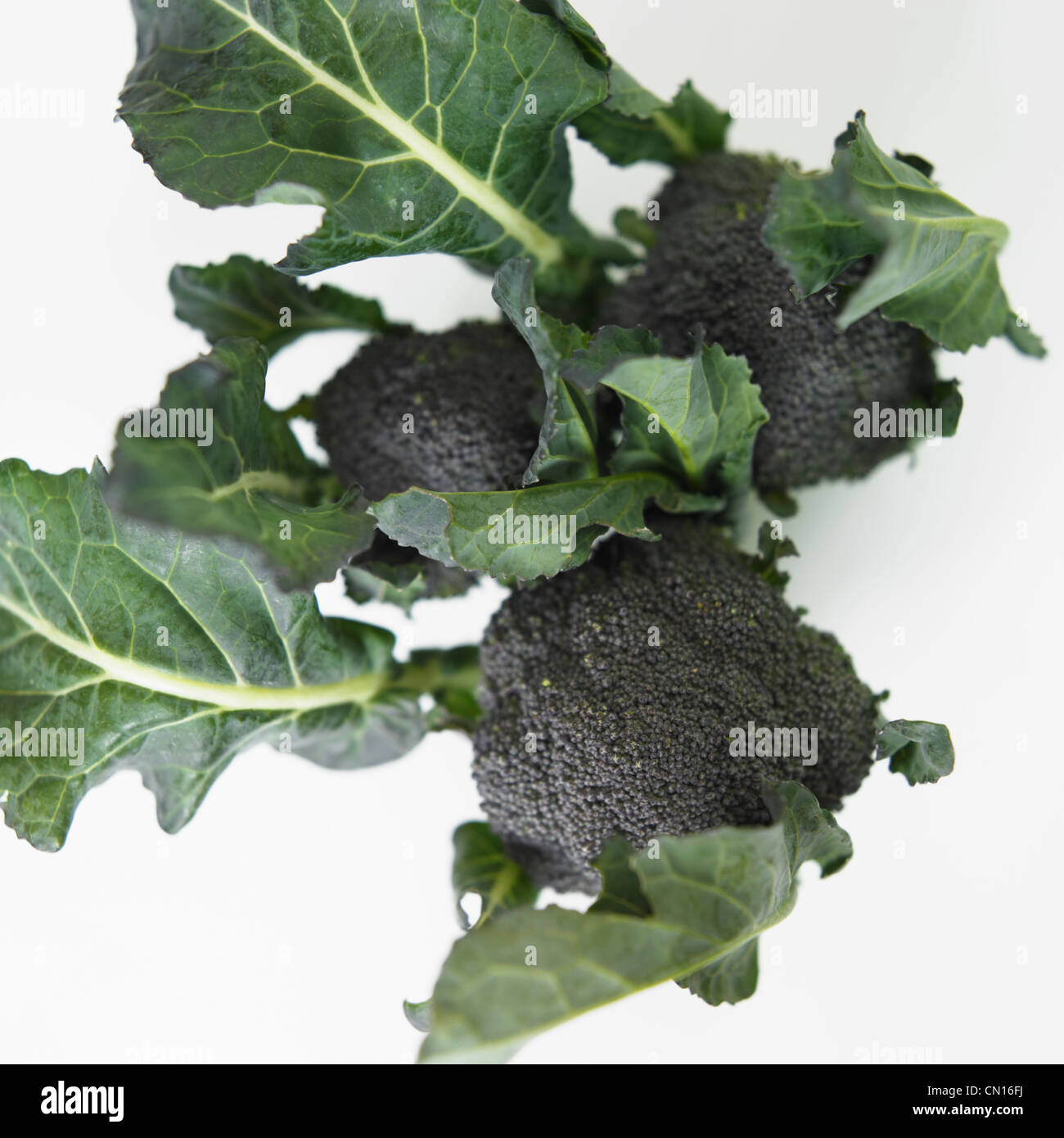 Broccoli with leaves Stock Photo - Alamy
