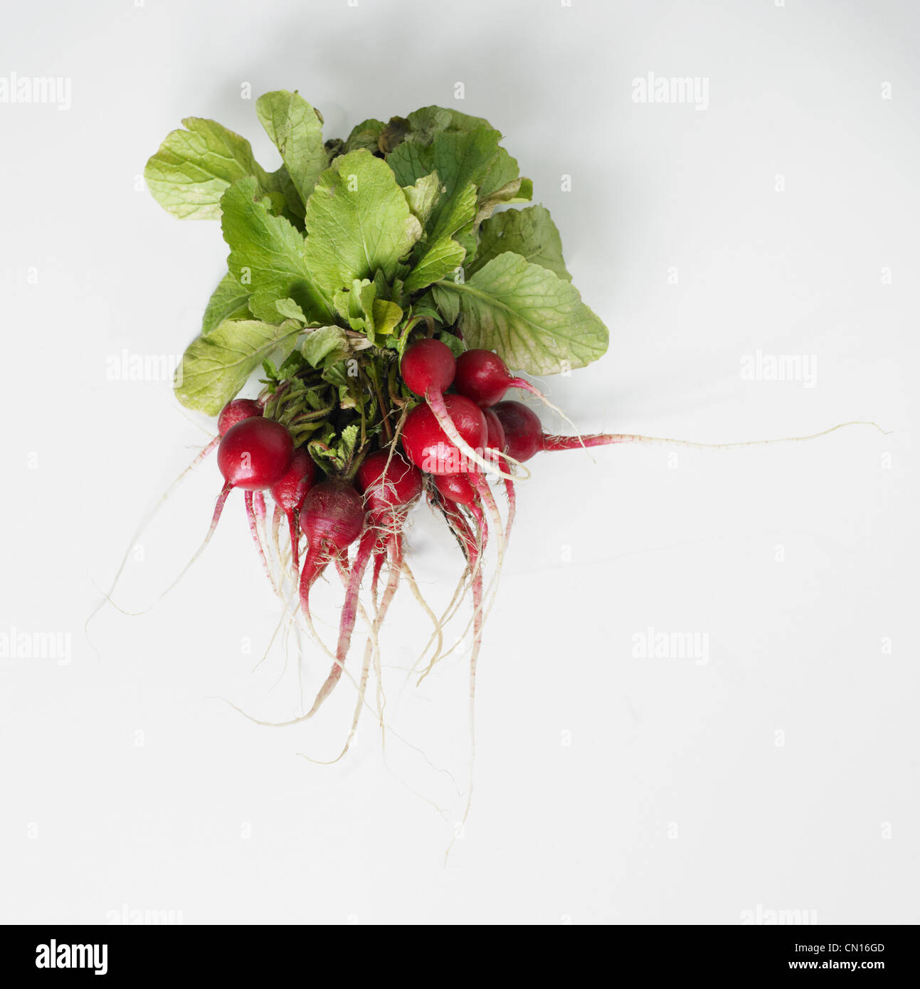 Whole baby radish Stock Photo - Alamy