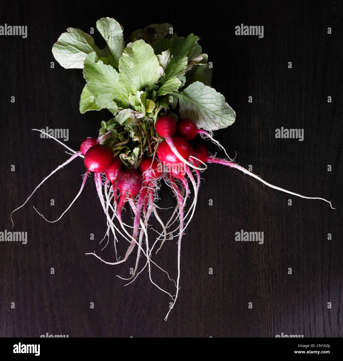Whole baby radish Stock Photo - Alamy