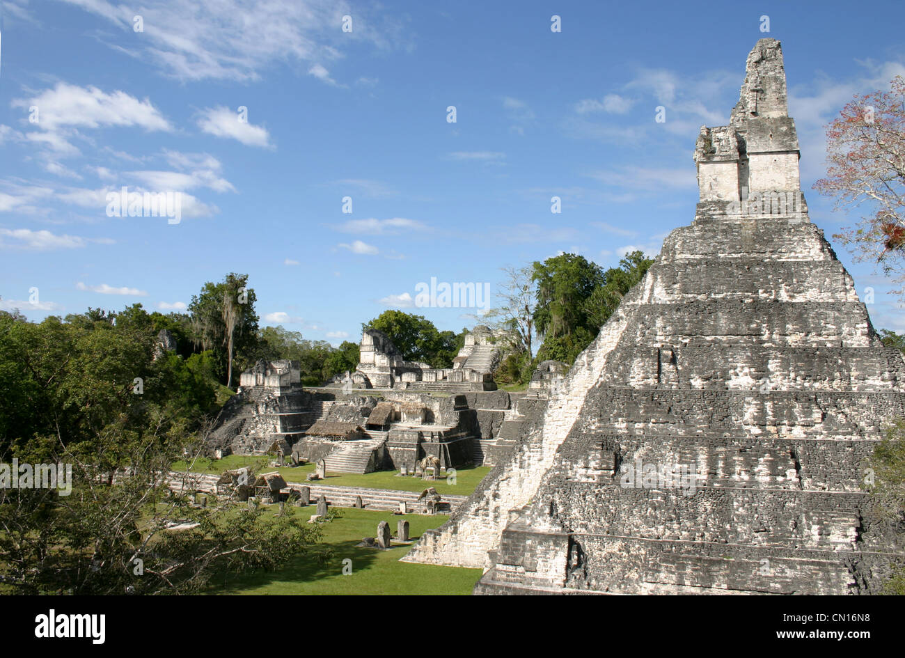 La Ruta Maya;Mayan Temples in the Jungle of Tikal Guatemala.Central ...
