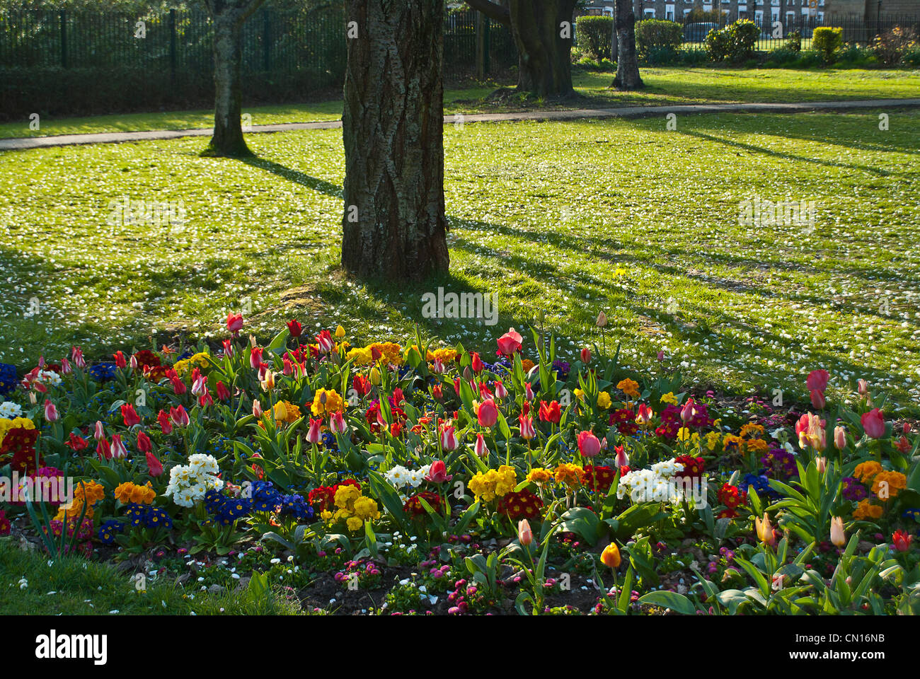 Colourful flower border early evening sunshine casting shadows from ...