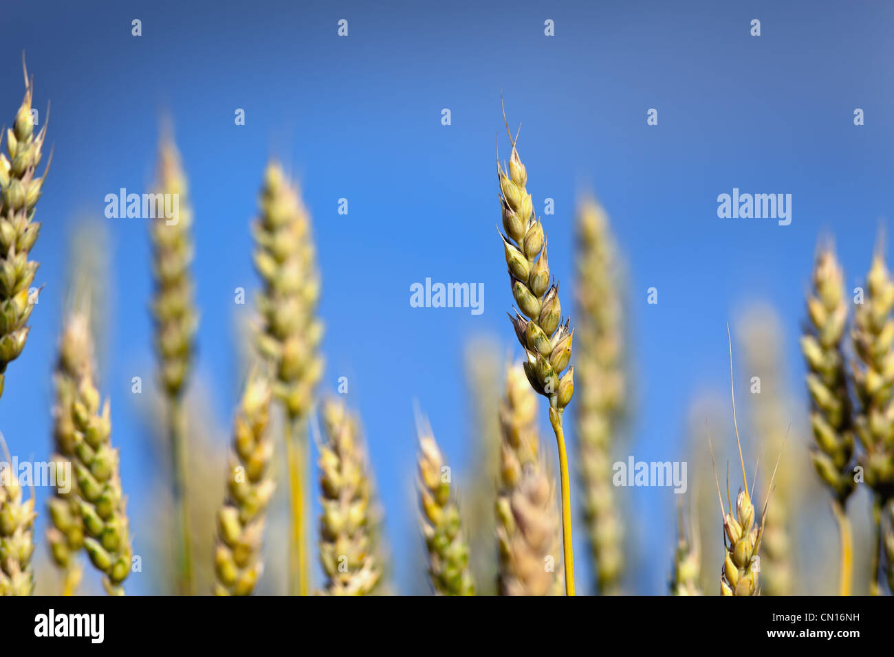 Pembina valley hi-res stock photography and images - Alamy