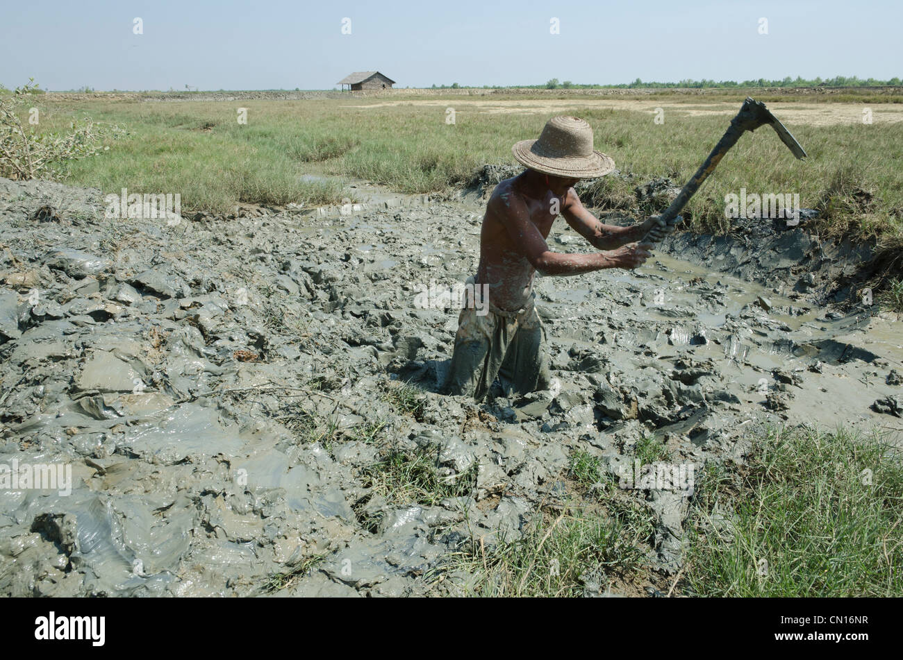 Worker digging in the mud. Thinga Gyi village. Irrawaddy delta. Myanmar ...