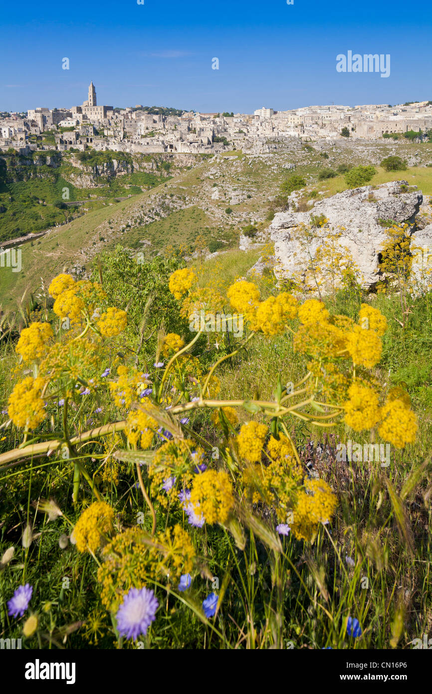 Basilicate Stock Photos & Basilicate Stock Images - Alamy