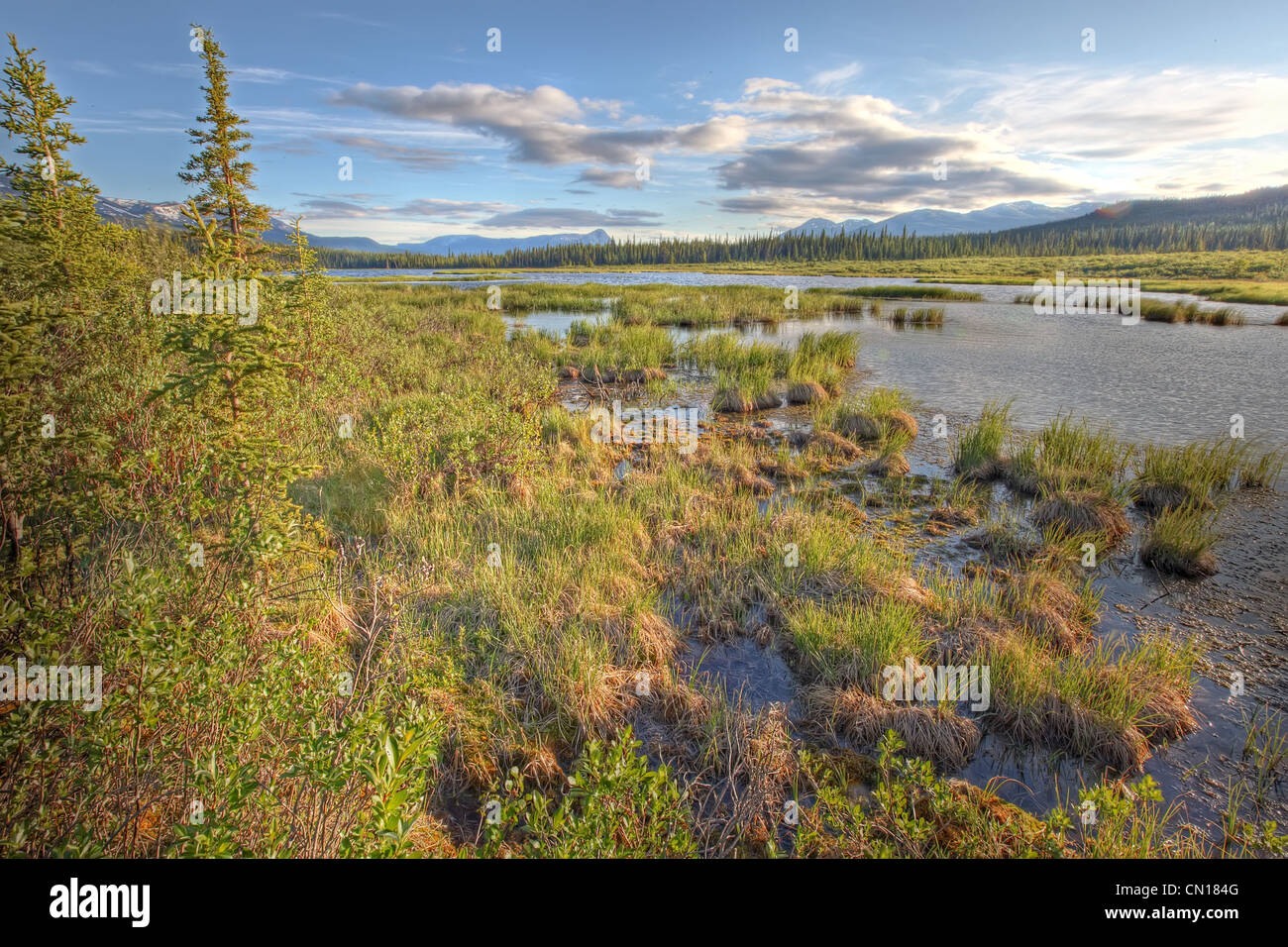 Unnamed lake near Jakes Corner, Yukon Stock Photo - Alamy