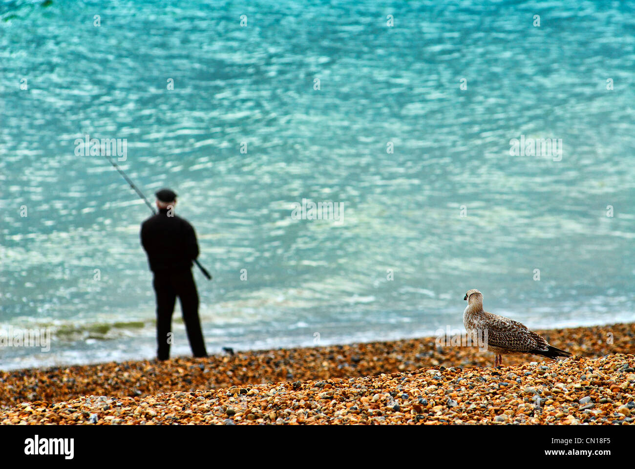 Fishing off the beach hi-res stock photography and images - Alamy