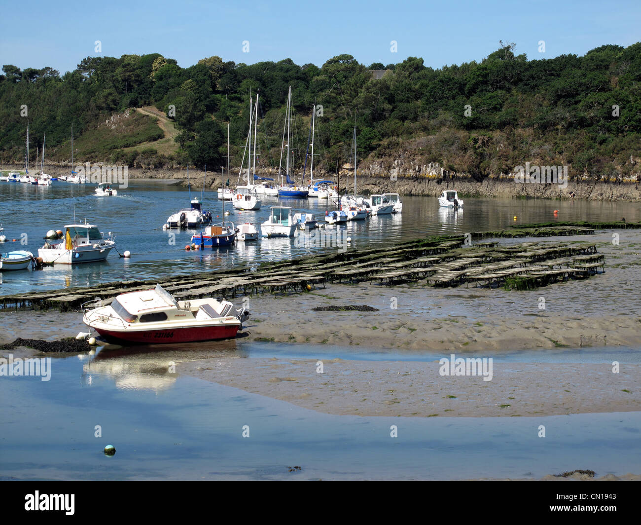 Riec-sur-Belon harbour, Belon river, Finistere, Bretagne,Brittany ...